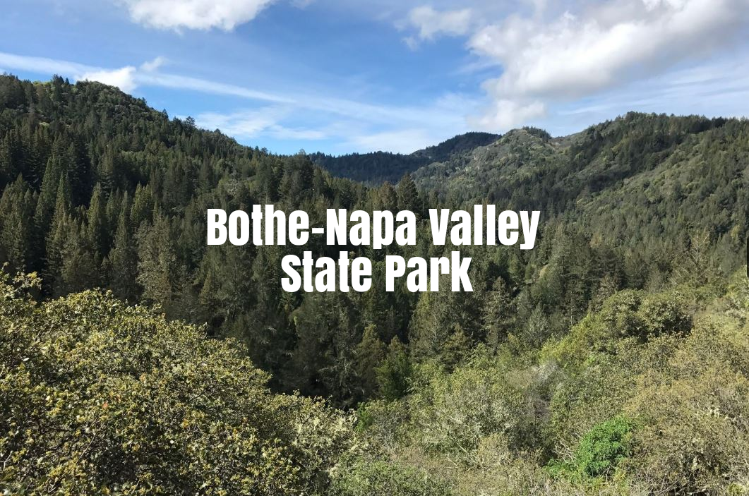 Top Hikes In California: Bothe-Napa Valley State Park Offers Redwoods ...