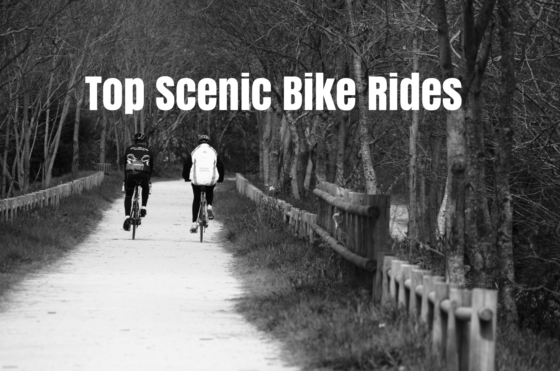 Top Scenic Bike Rides: The Hilly Scenery Of Bologna’s Back Country ...
