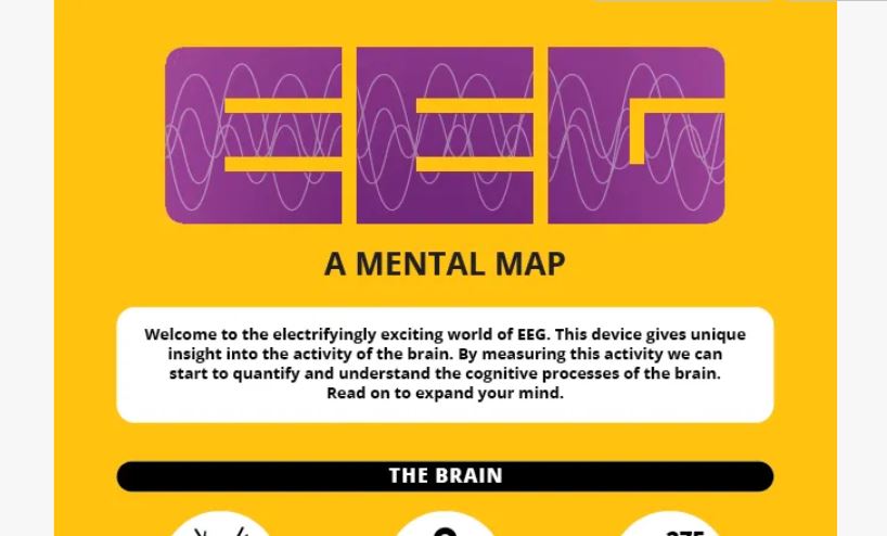 Insites Into Neuroscience: “EEG – A Mental Map” Infographic (IMotions ...