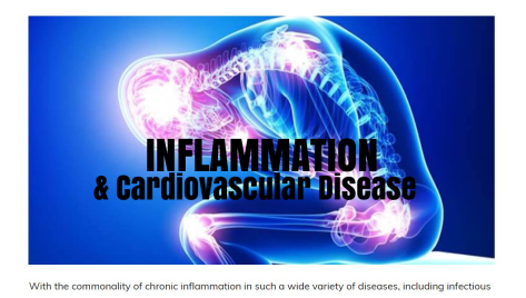 Infographic: “The Role Of Inflammation In Disease” | Boomers Daily