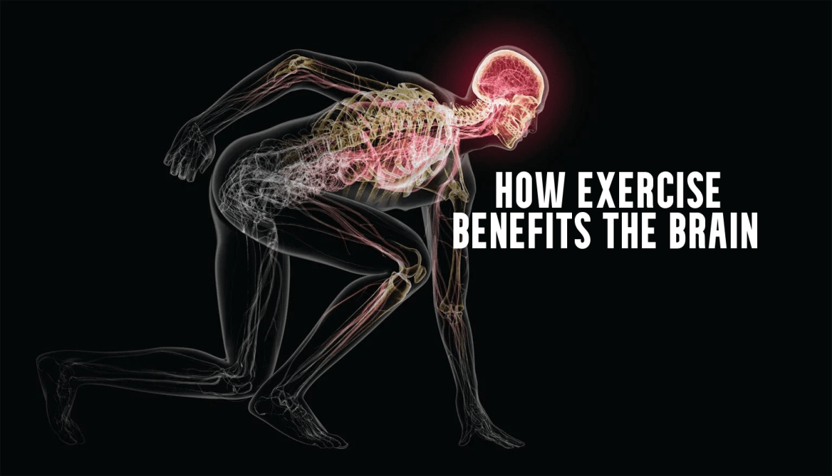 Studies: “Why Your Brain Needs Exercise” (Scientific American ...