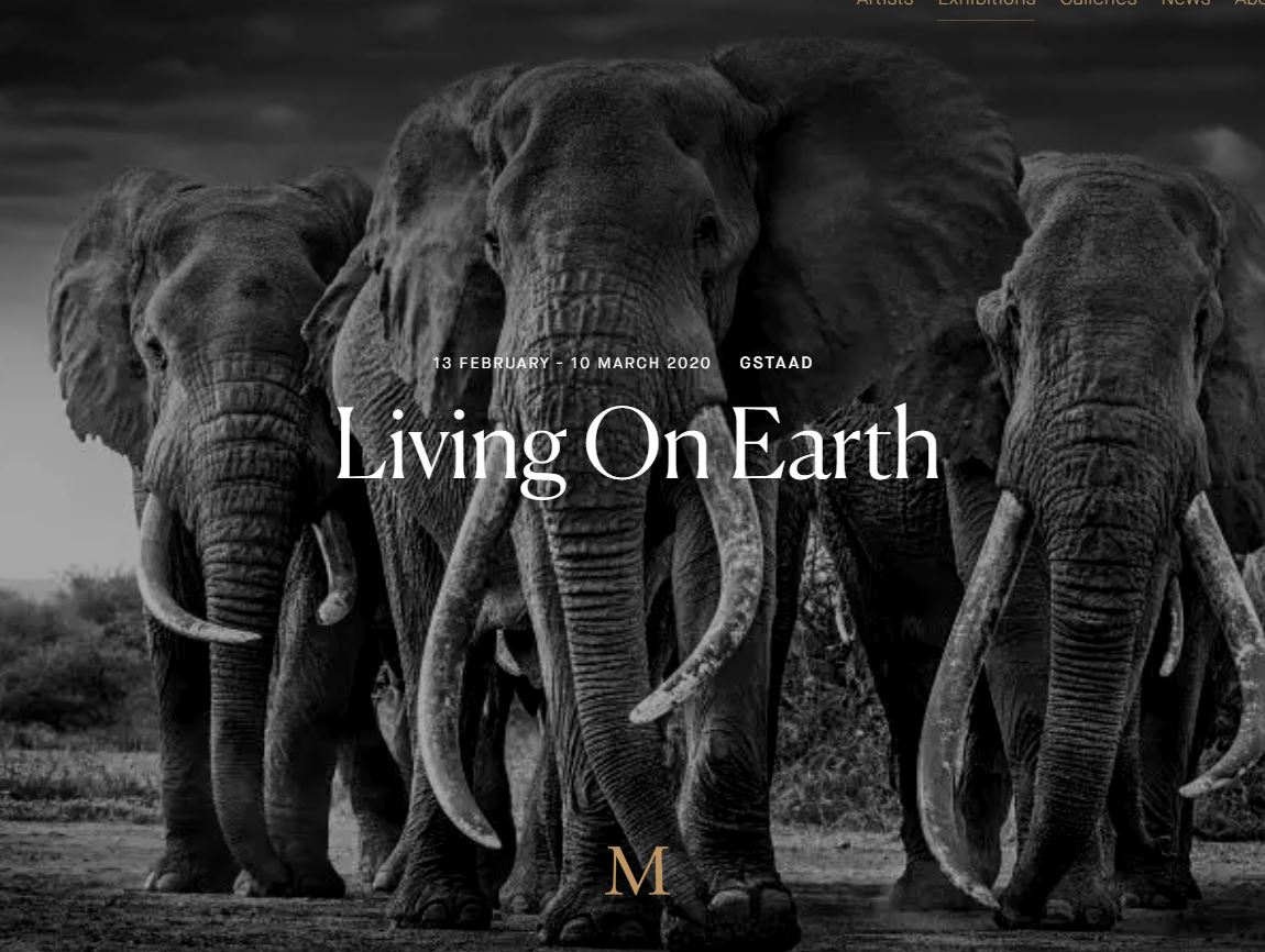 Top Exhibitions: 54-Year Old British Photographer David Yarrow ...