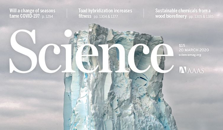 Top Journals: Research Highlights From Science Magazine (March 20, 2020 ...
