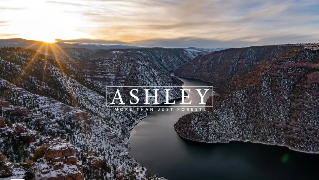 Top New Travel Videos: “Ashley National Forest” By The Pattiz Brothers ...