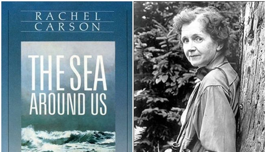 Literary Tribute: Rachel Carson “Dreams Of The Sea” (The New Yorker ...