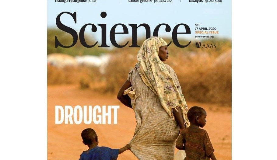 TOP JOURNALS: RESEARCH HIGHLIGHTS FROM SCIENCE MAGAZINE (APRIL 17, 2020 ...