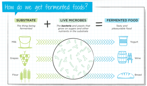 Infographics: “What Are, How We Get And Why Do We Eat Fermented Foods ...