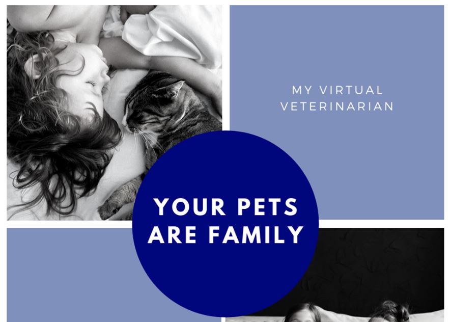 Future Of Pet Care: “My Virtual Veterinarian” – Smartphone Video And ...