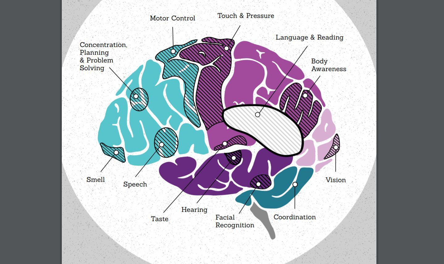 Top Science Infographics: “Neurogenomics”, Brain Function & Development ...