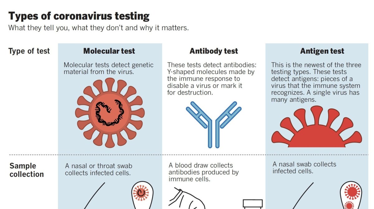 New Infographic: “Types Of Coronavirus Testing” | Boomers Daily