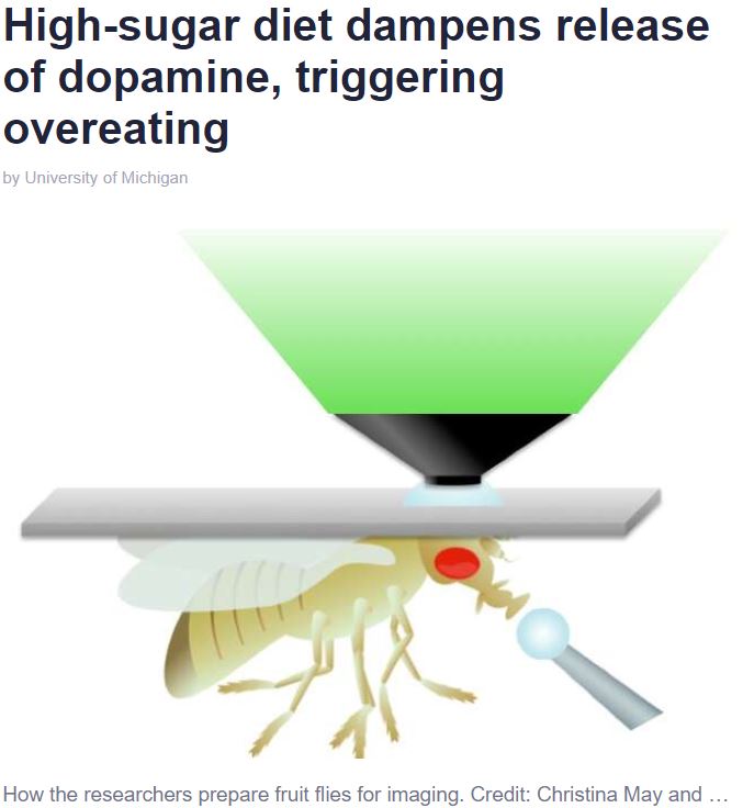 Neuroscience | Boomers Daily