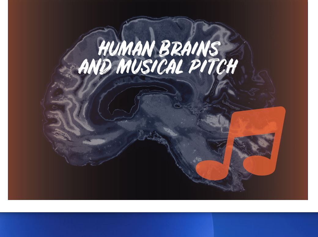 New Research Podcasts: “Human Brains Are Wired To Enjoy Musical Pitch ...