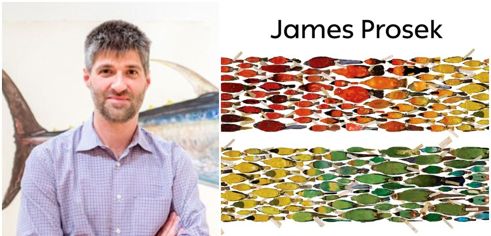 Art Books: “Art, Artifact, Artifice” By James Prosek | Boomers Daily