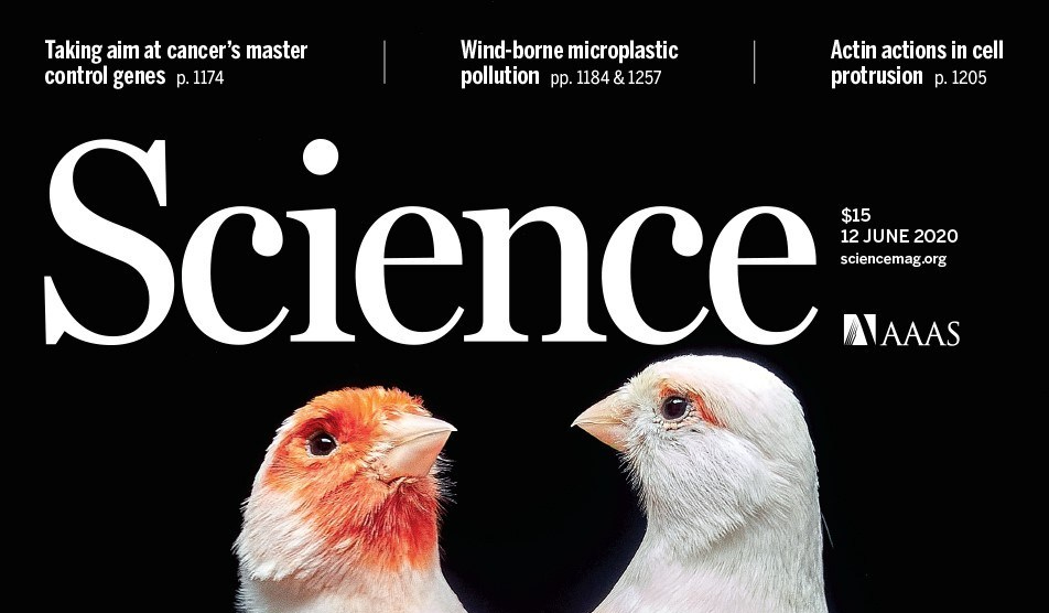TOP JOURNALS: RESEARCH HIGHLIGHTS FROM SCIENCE MAGAZINE (JUNE 12, 2020 ...