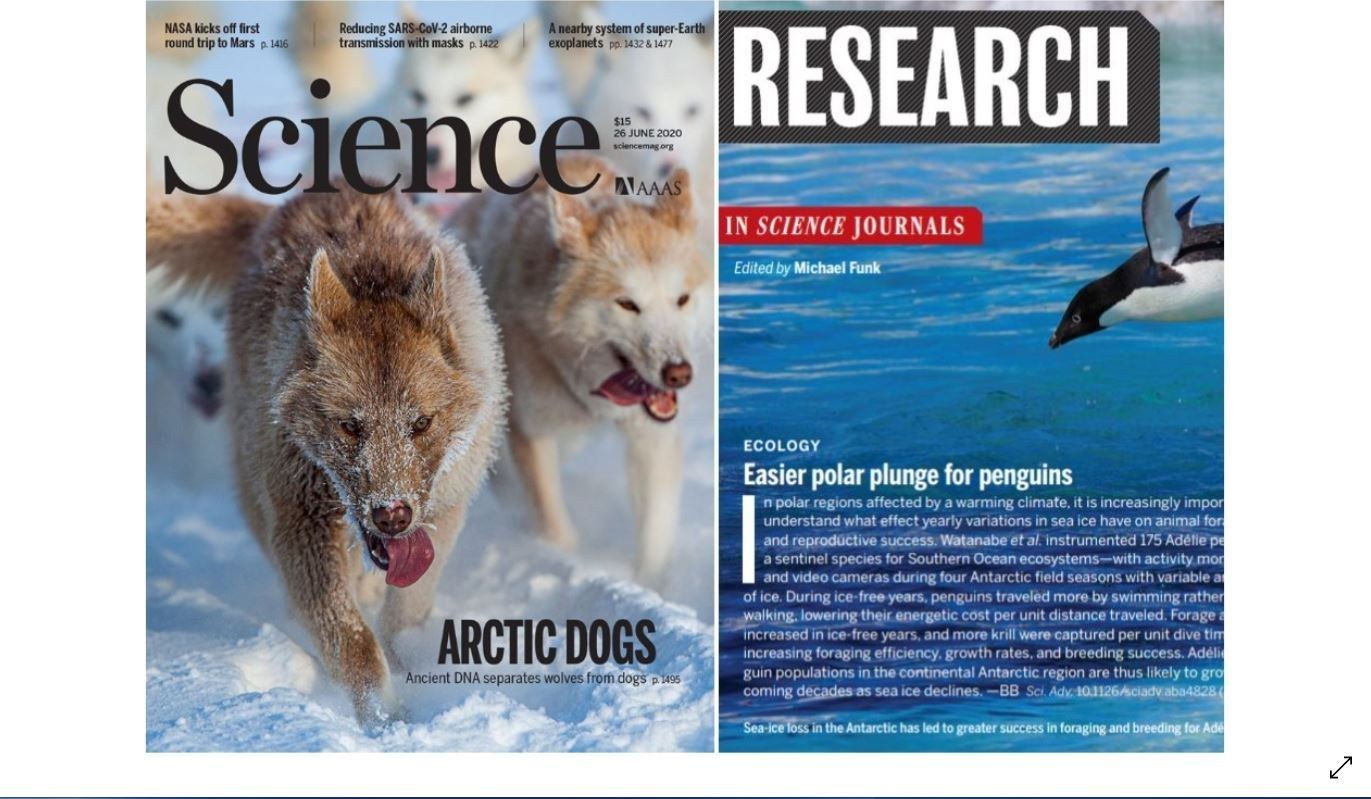 TOP JOURNALS: RESEARCH HIGHLIGHTS FROM SCIENCE MAGAZINE (JUNE 26, 2020 ...