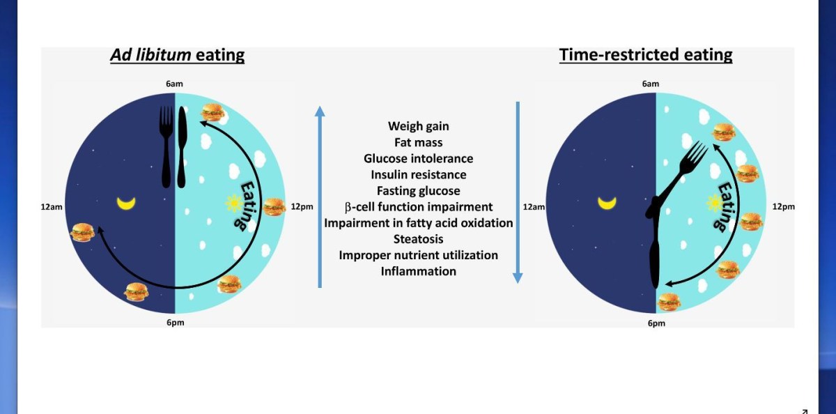 Diet Studies: Benefits Of “Time-Restricted Eating” (TRE) Improve With ...