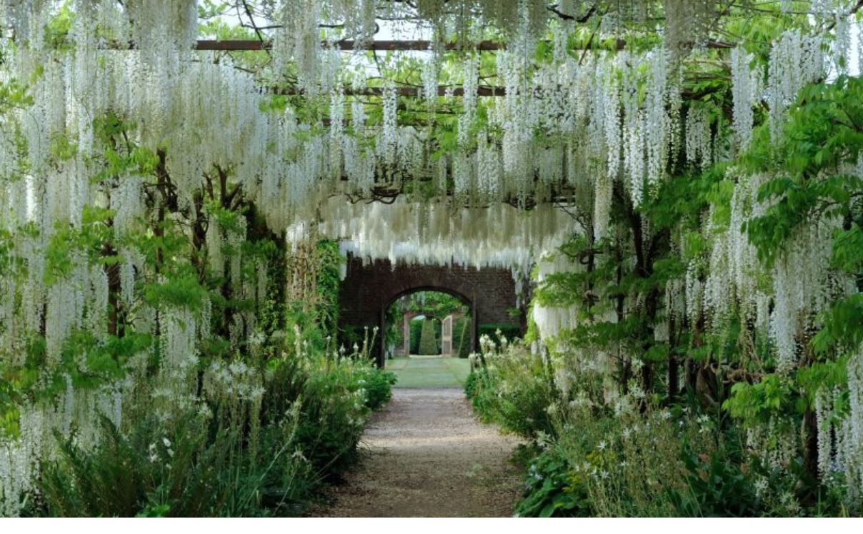 Top Gardens: Astonishing “Wisteria Pergolas” Of Petworth House, England ...