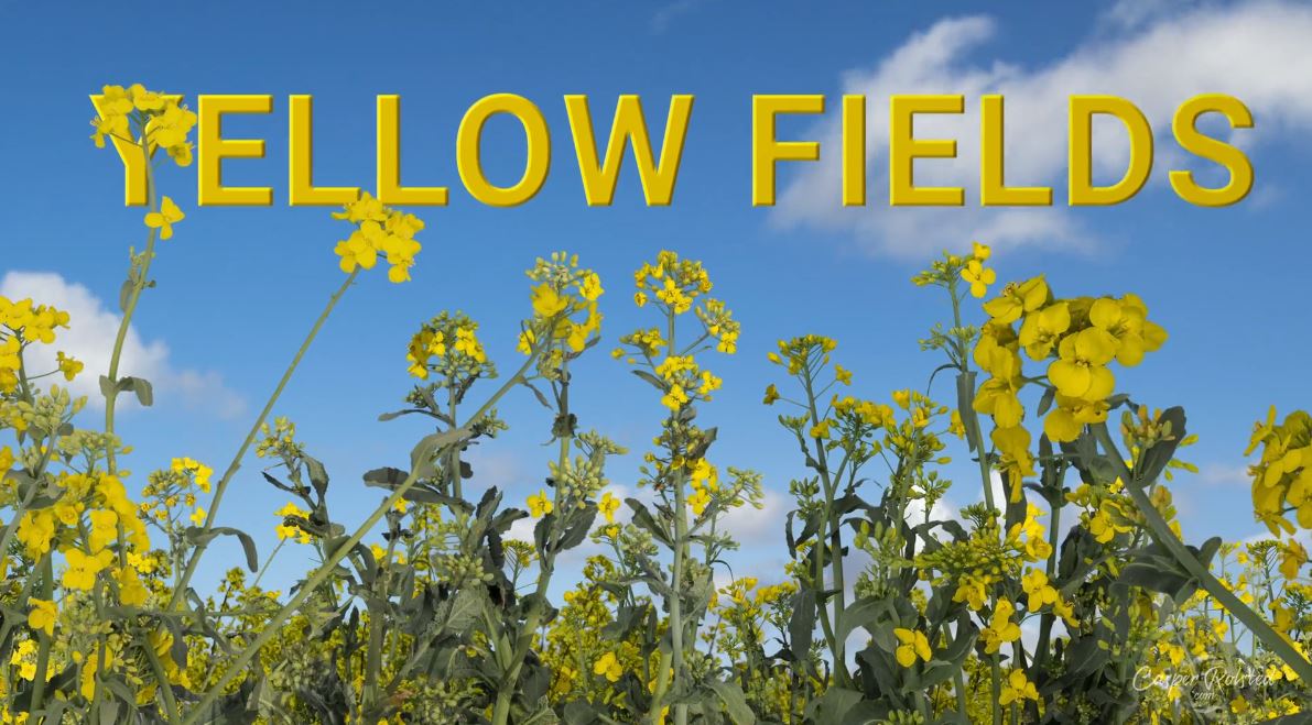 Timelapse Travel Videos: Denmark’s “Yellow Fields” By Casper Rolsted ...