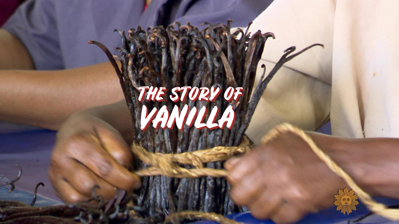 Foods & Flavors: “The Story Of Vanilla” (CBS) | Boomers Daily