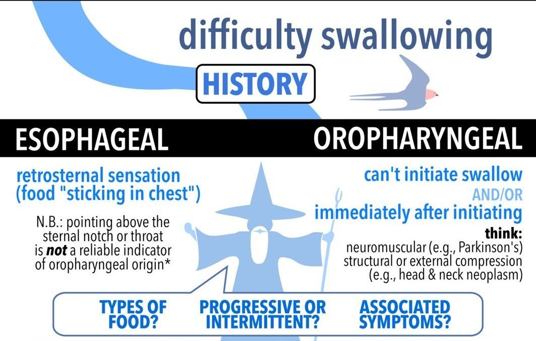 Infographics: “Dysphagia – Difficulty In Swallowing” | Boomers Daily
