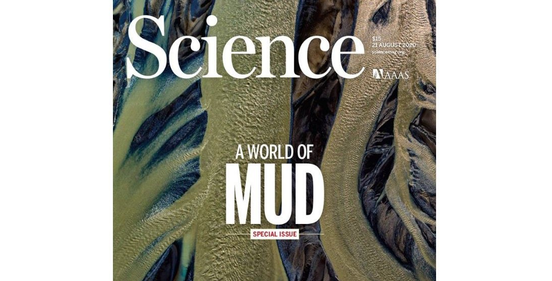 TOP JOURNALS: RESEARCH HIGHLIGHTS FROM SCIENCE MAGAZINE (AUGUST 21 ...
