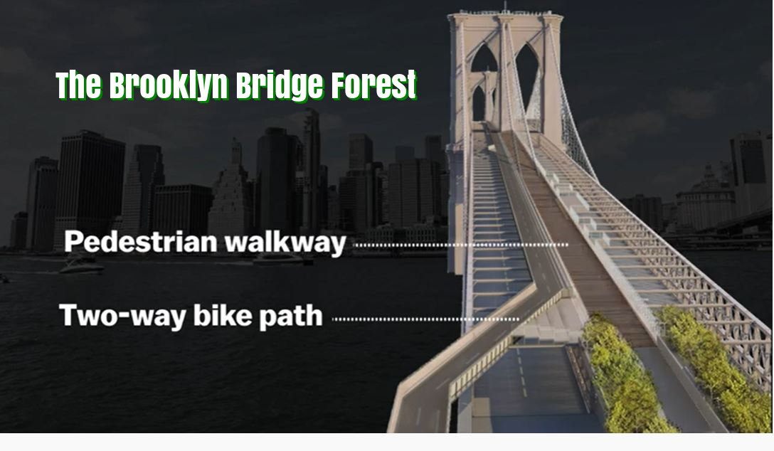 Urban Renewal: “The Brooklyn Bridge Forest” Wins Design Contest (2020 ...