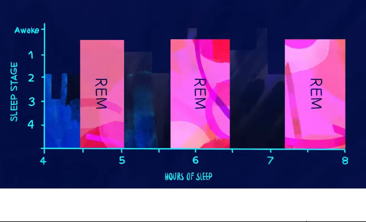 Health Video: “The Stages Of REM & Non-REM Sleep” | Boomers Daily