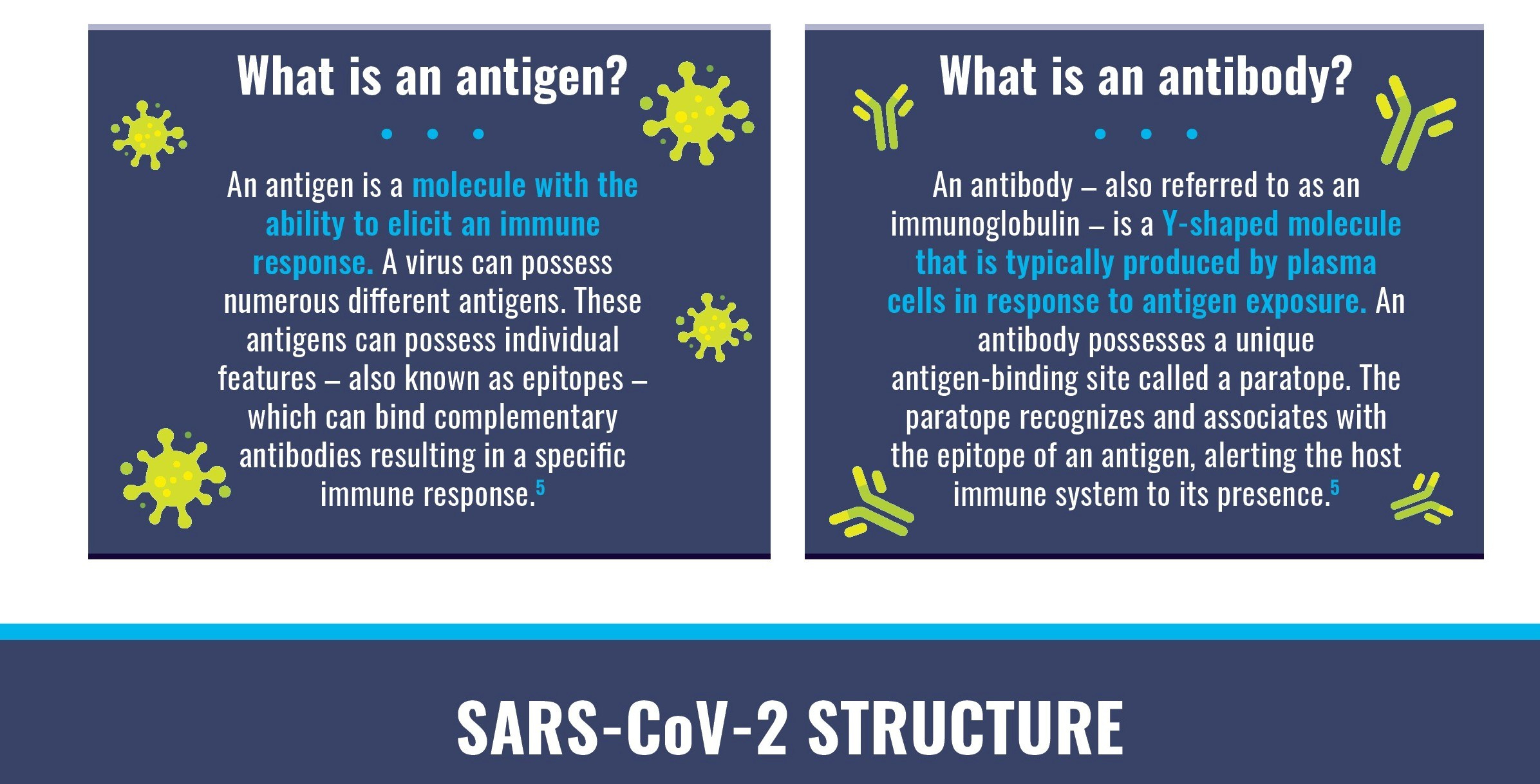 Infographics: “Covid-19 Antibodies & Antigens” | Boomers Daily