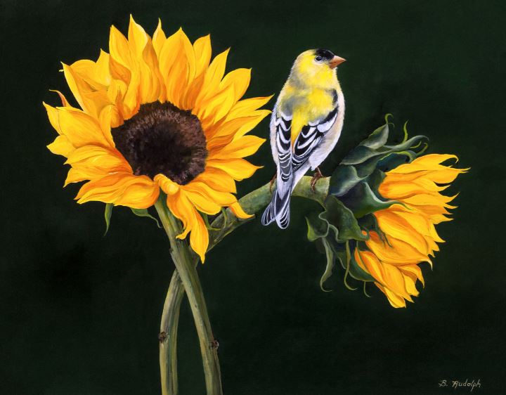 Artist Profile: American Painter Barbara Rudolph | Boomers Daily