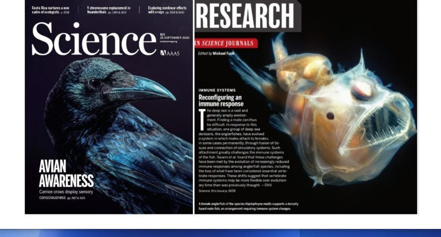 TOP JOURNALS: RESEARCH HIGHLIGHTS FROM SCIENCE MAGAZINE (SEPT 25, 2020 ...