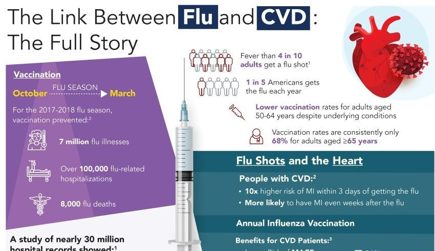 Infographic: ‘The Link Between Flu And CVD’ | Boomers Daily