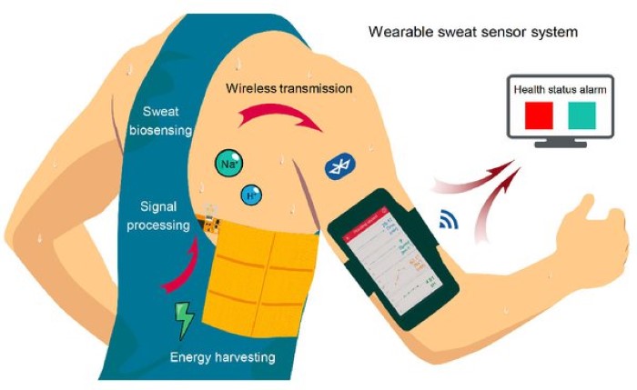 Innovations: ‘Wireless Wearable Health Sensor’ Is Human Motion Powered ...