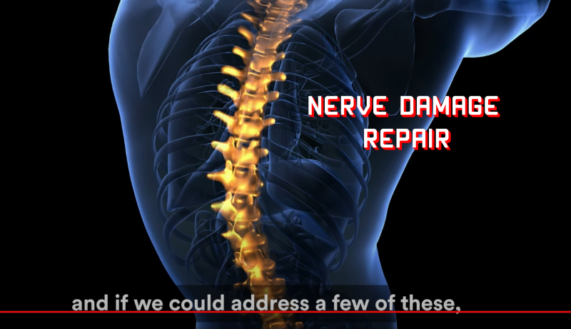 Medical Innovation Video: ‘Nerve Damage Repair’ | Boomers Daily