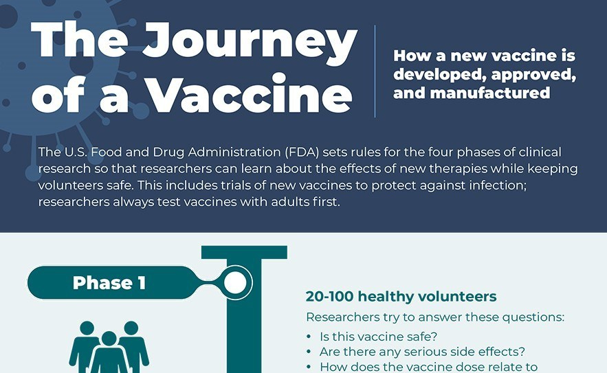 Covid-19 Infographic: ‘The Journey Of A Vaccine’ (NIH) | Boomers Daily