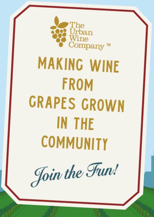 Winery Profile Podcast: The Urban Wine Company, London, ‘CHATEAU ...