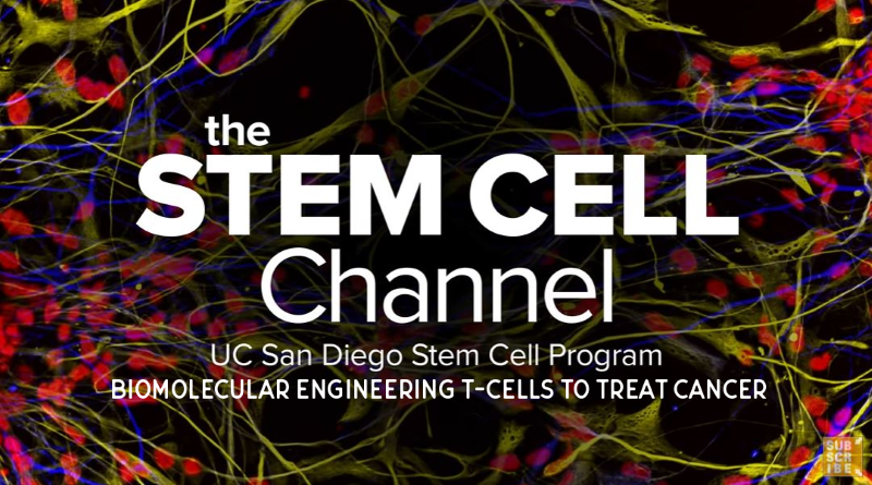 Research: ‘Biomolecular Engineering T-Cells to Treat Cancer’ (UCTV ...
