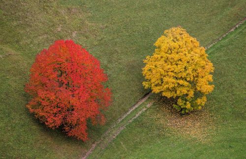SCENIC OUTDOORS: BEST OF ‘LANDSCAPE PHOTOGRAPHY MAGAZINE’ (NOV 2020 ...