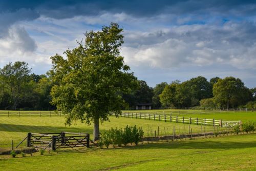 English Country Homes: ‘Morley Manor’, Hamlet Of Shermanbury, West ...