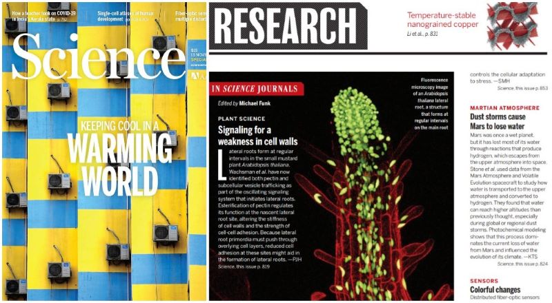 TOP JOURNALS: RESEARCH HIGHLIGHTS FROM SCIENCE MAGAZINE (NOV 13, 2020 ...