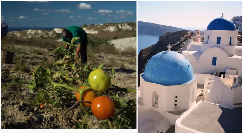 Food Culture Saving The Tomato Of Santorini Island Greece Video