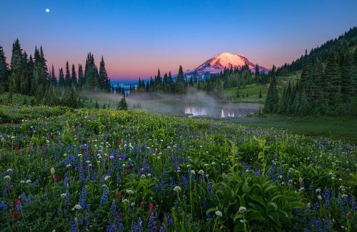 SCENIC OUTDOORS: BEST OF ‘LANDSCAPE PHOTOGRAPHY MAGAZINE’ (NOV 2020 ...