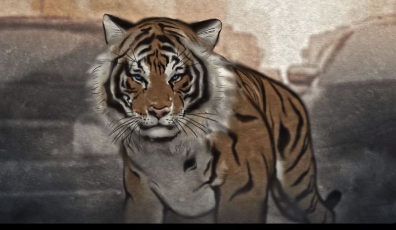 Top Creative Short Films: “Past & Present” (Video) | Boomers Daily