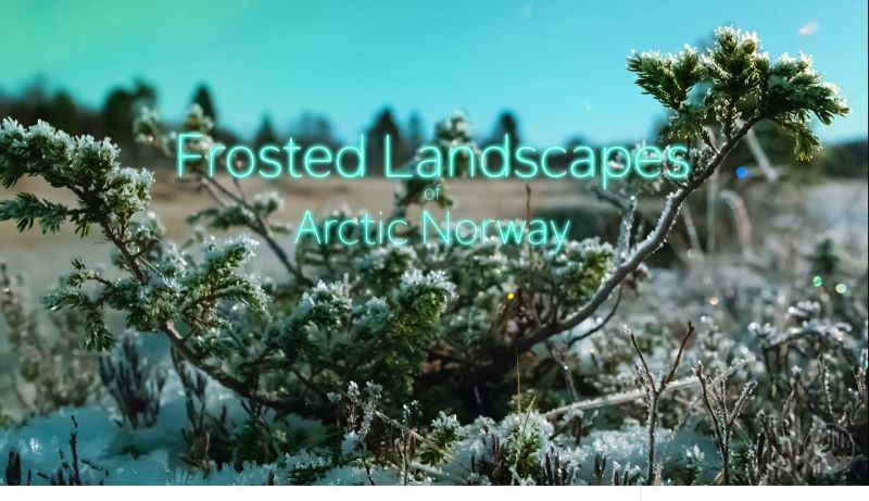 Winter Travel: Frosted Landscape, Arctic Norway | Boomers Daily