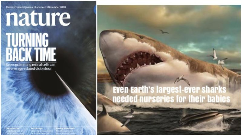 Science: Nature Magazine Research Highlights | Boomers Daily