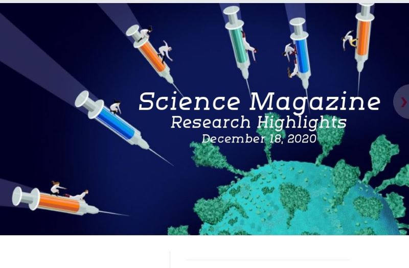 TOP JOURNALS: RESEARCH HIGHLIGHTS FROM SCIENCE MAGAZINE (DEC 18, 2020 ...