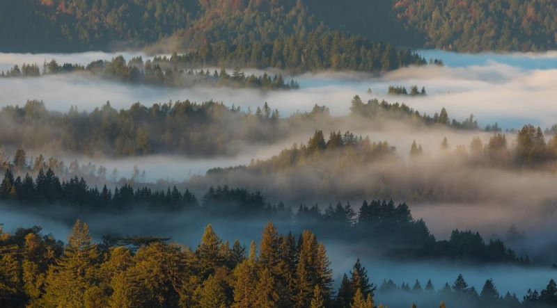 Timelapse Travel: ‘Santa Cruz Mountains’ In Northern California ...