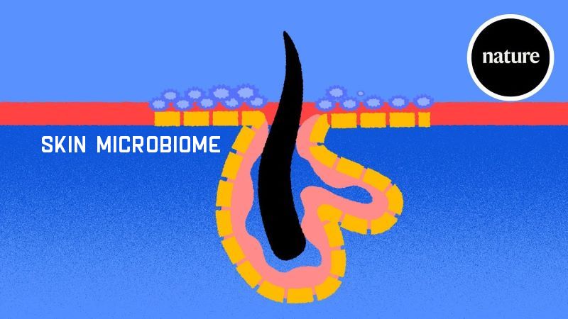 Health: Value Of A Healthy ‘Skin Microbiome’ (Video) | Boomers Daily