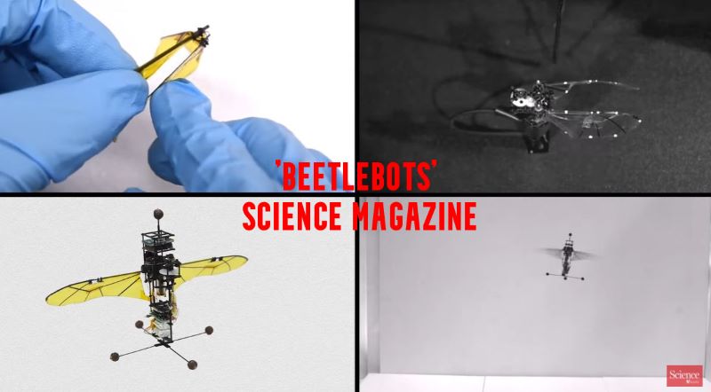 Science: Researchers Build Crash-Resistant Flying ‘Beetlebot’ (Video ...