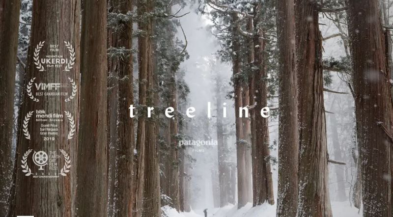 Top Short Films: ‘Treeline’ | Boomers Daily