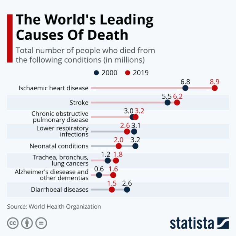 Infographics: ‘Leading Causes Of Death (2000-19) | Boomers Daily